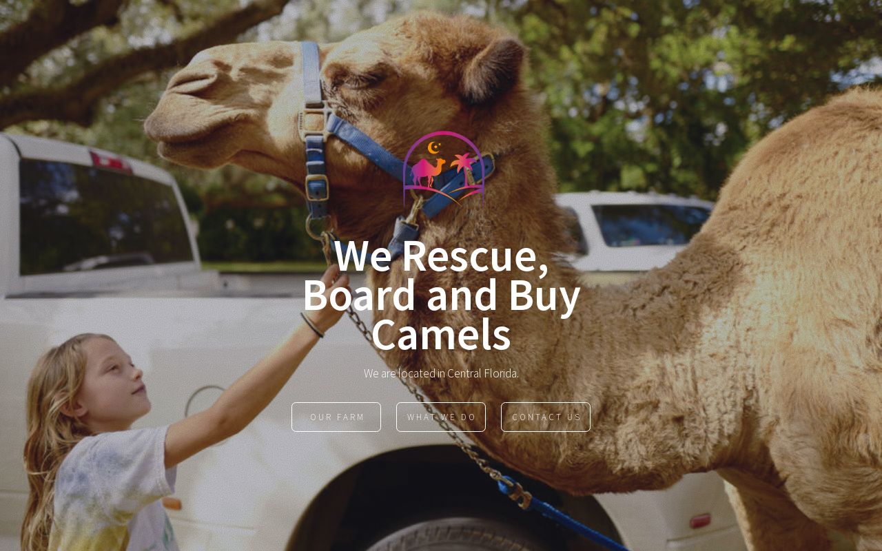 Florida Camel Farm